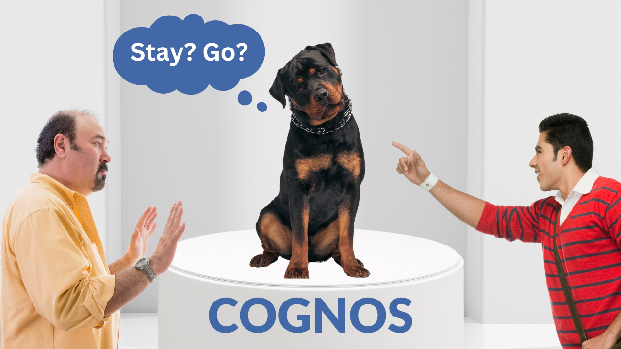 Power BI Field Parameters | Build a Report Using Dynamic Slicers | Senturus